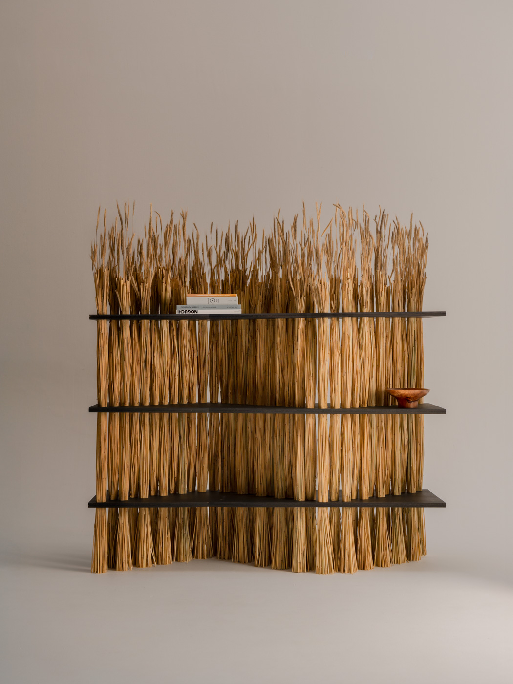 Large Amas shelf, stained oak - OROS